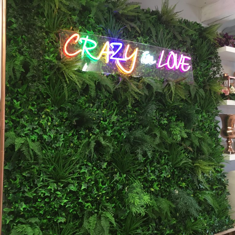 Foliage Wall Backdrop and Choice of Neon Sign - Inspired Hire